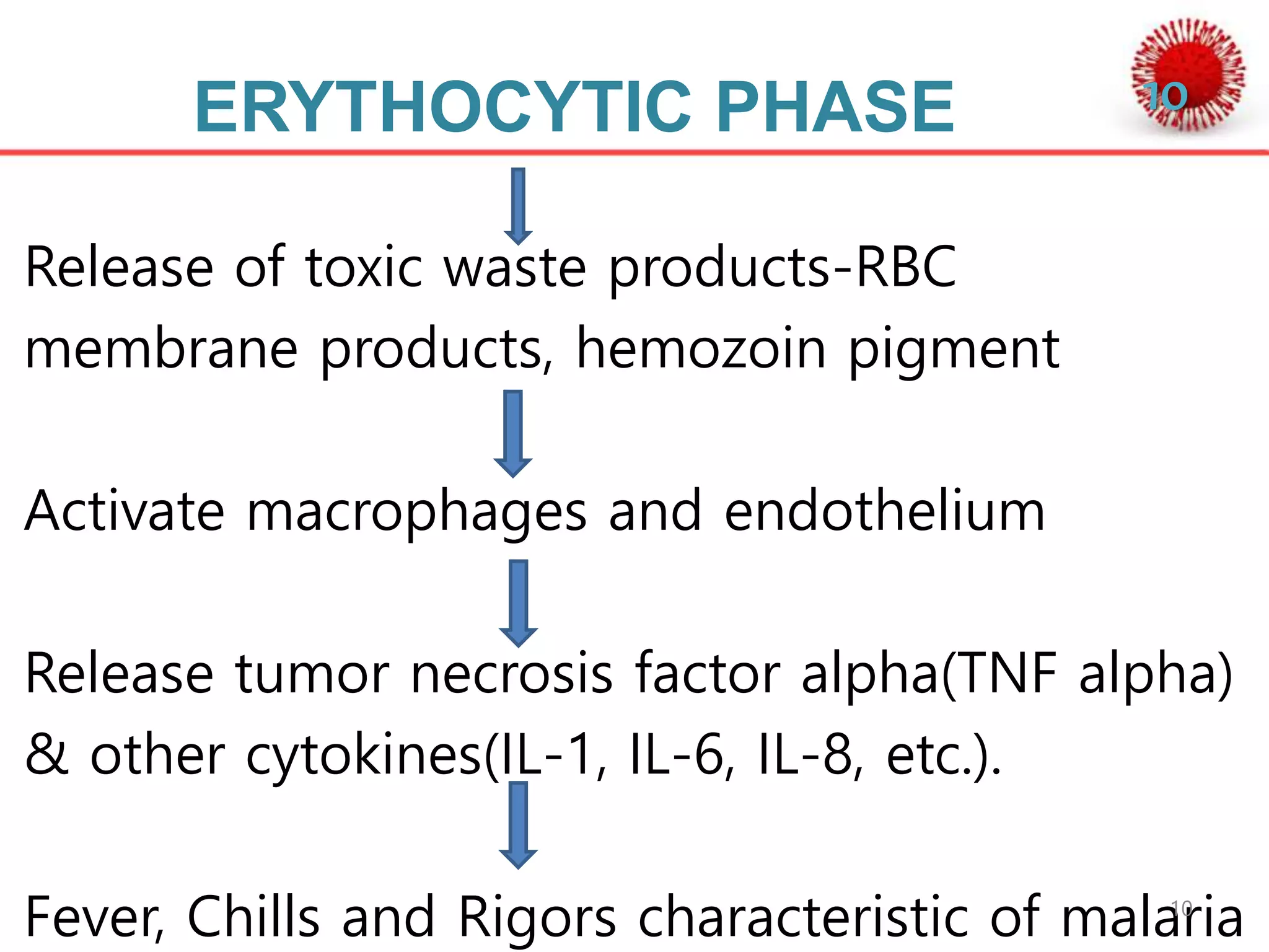 Pathogenesis of malaria | PPTX