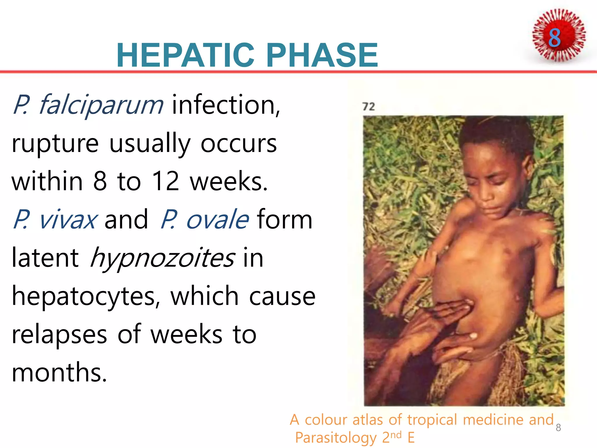Pathogenesis of malaria | PPTX