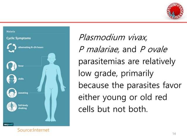 Pathogenesis of malaria | PPTX