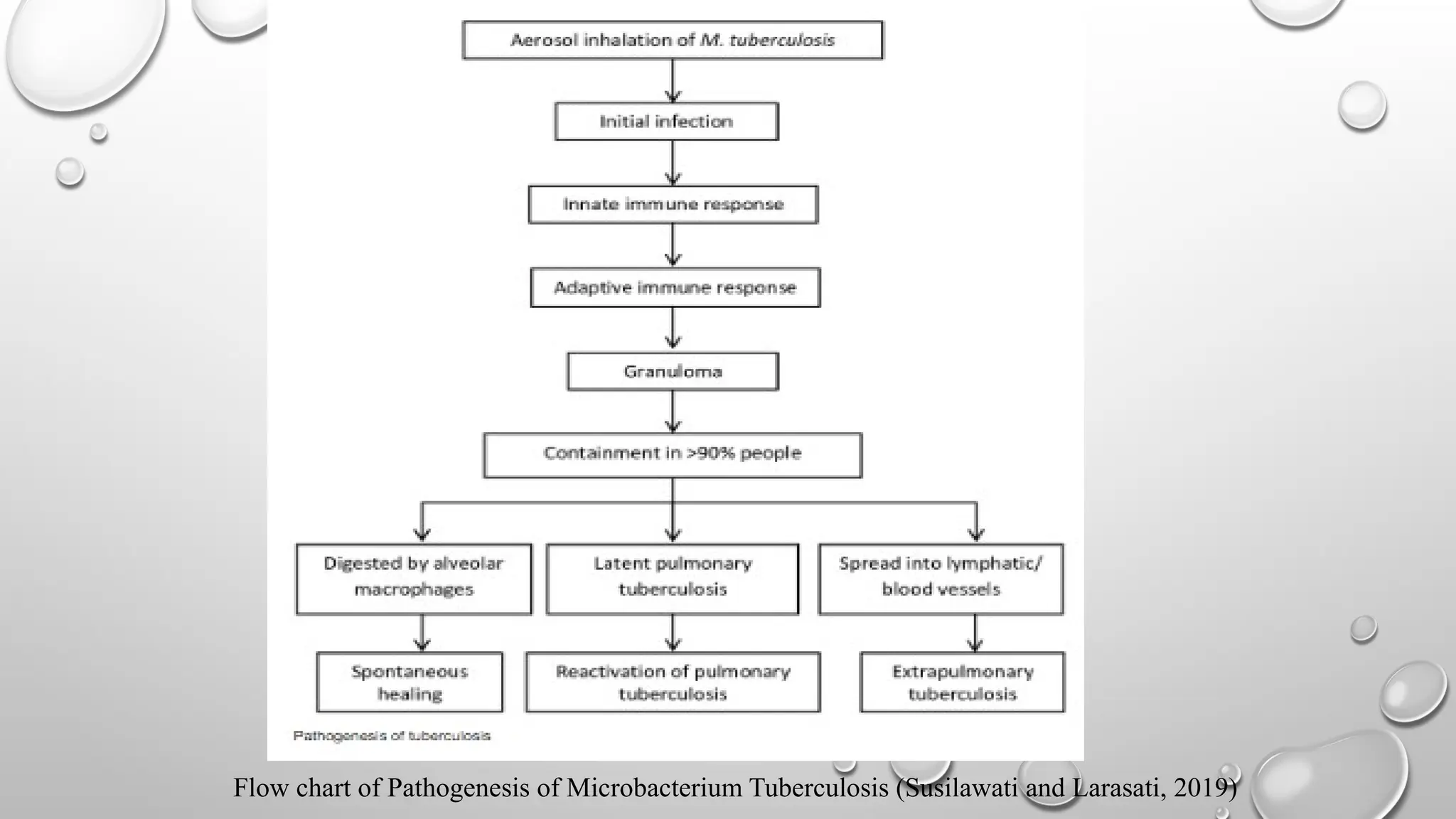 Pathogenesis of Mycobacterium Tuberculosis.pptx