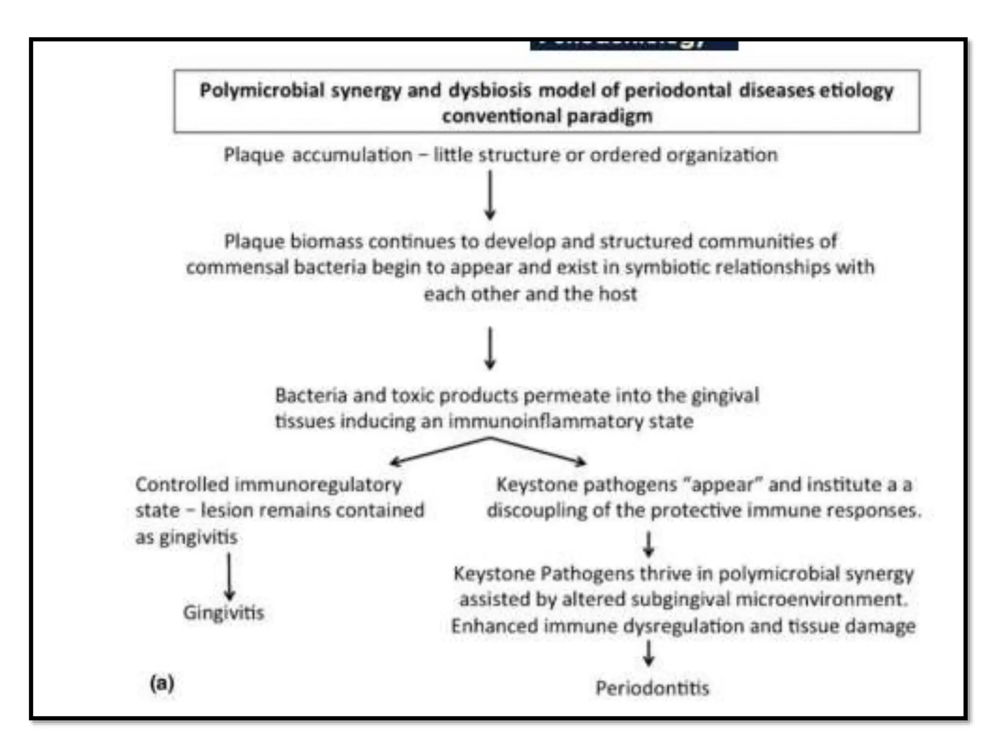 pathogenesis of periodontal.pptx