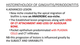 Pathogenesis of periodontal diseases | PDF