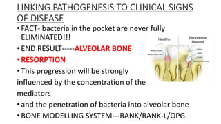Pathogenesis of periodontal diseases | PDF