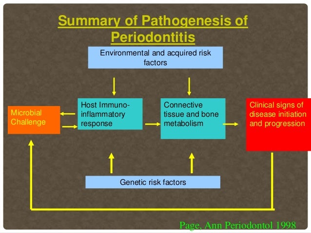 Pathogenesis of periodontitis