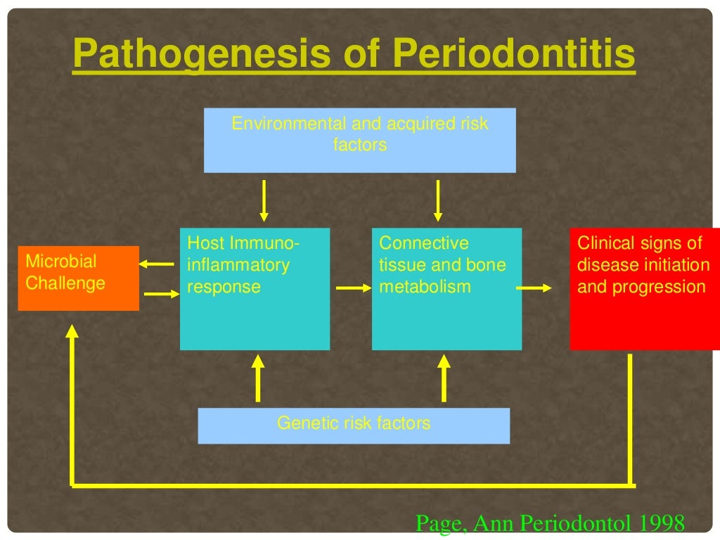 Pathogenesis of periodontitis