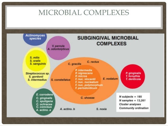 Pathogenesis Of Periodontitis