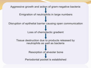 Pathogenesis of plaque associated periodontal disease | PPTX