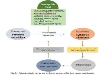 Pathogenesis of plaque associated periodontal disease | PPTX