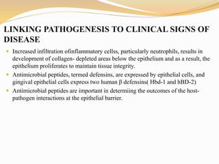 Pathogenesis of plaque associated periodontal disease | PPTX
