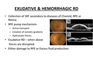 Pathogenetic mechanism of Retinal Detachment | PPTX