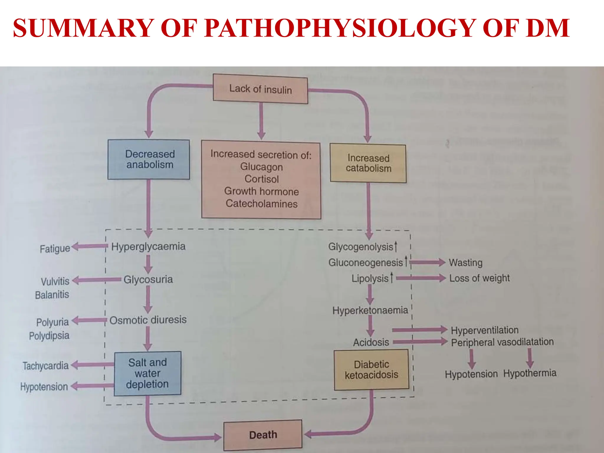 PATHOGENESIS OF TYPE 1 DIABETES MELLITUS.pptx