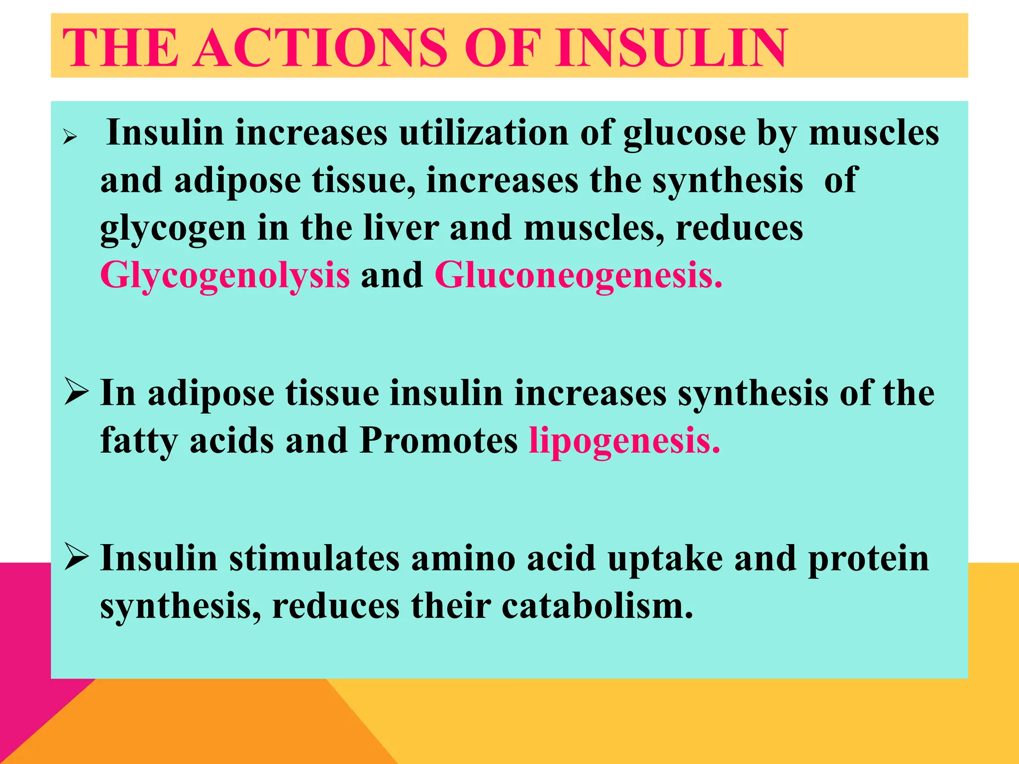 PATHOGENESIS OF TYPE 1 DIABETES MELLITUS.pptx