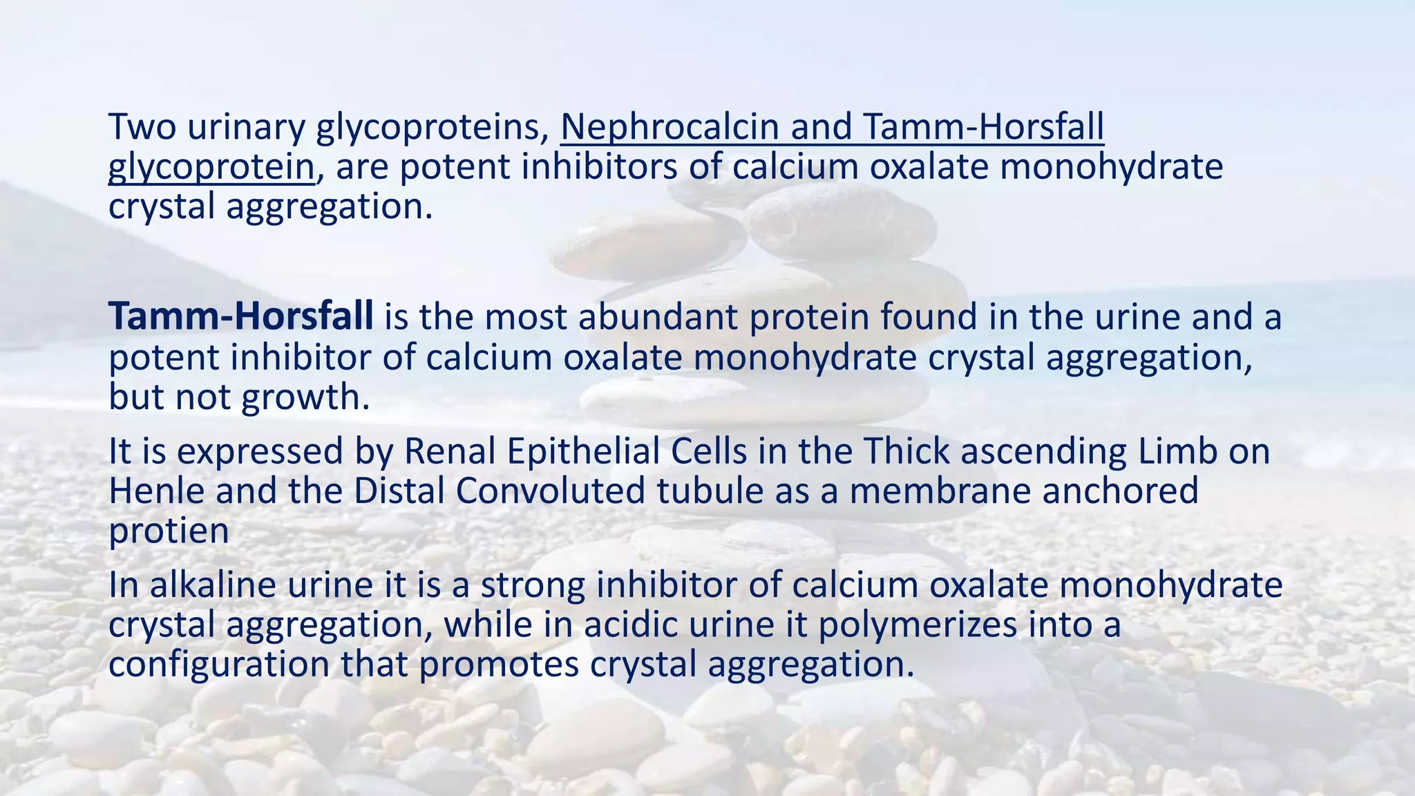Pathogenesis of Urolithiasis | PPTX