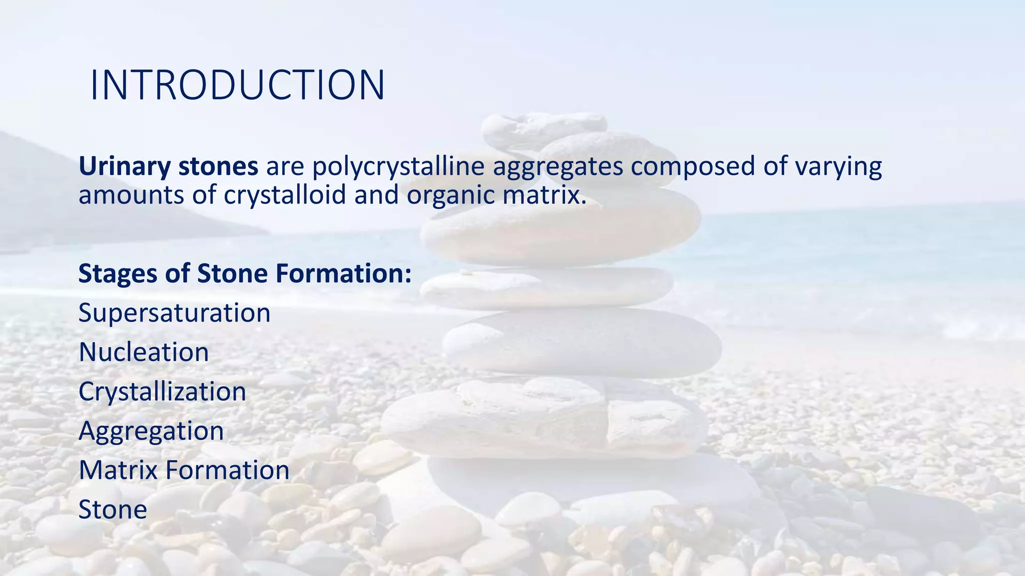 Pathogenesis of Urolithiasis | PPTX