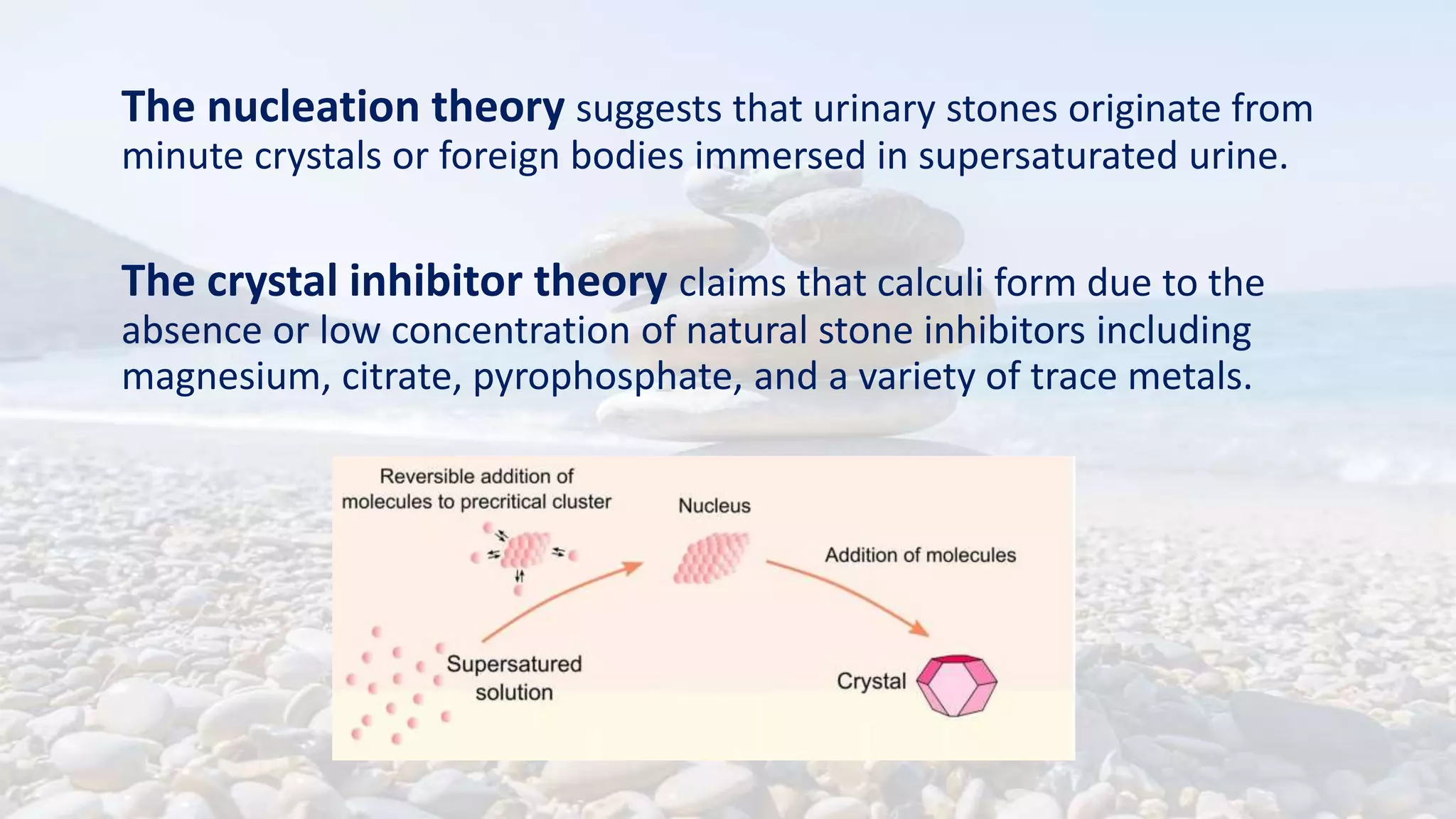 Pathogenesis of Urolithiasis | PPTX