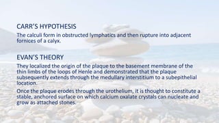 Pathogenesis of Urolithiasis | PPT