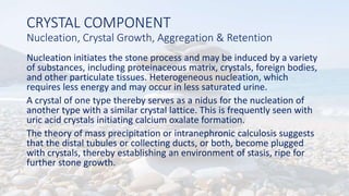 Pathogenesis of Urolithiasis | PPT