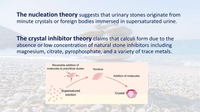 Pathogenesis of Urolithiasis | PPT