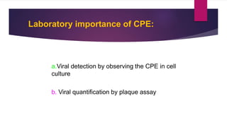pathogenesis of viruses and host defense sk (1).pptx