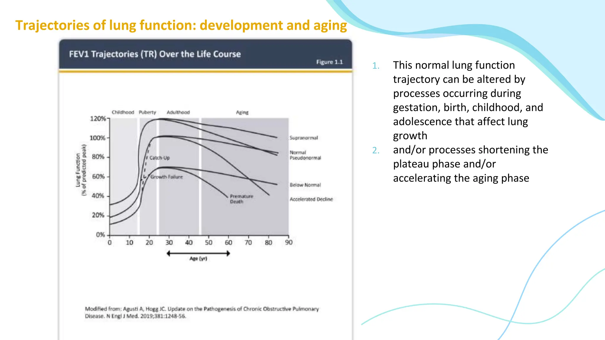 pathogenesis, pathobiology, pathofisiology of COPD.pptx