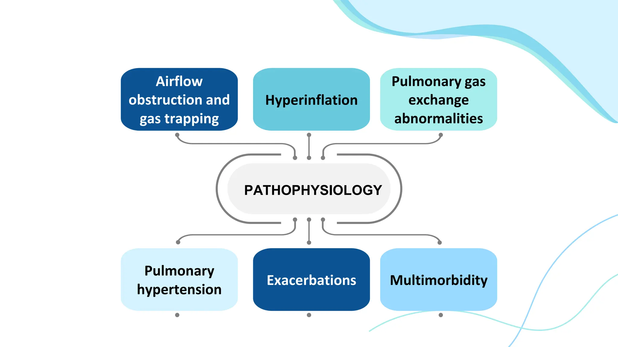 pathogenesis, pathobiology, pathofisiology of COPD.pptx
