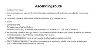 Pathogenesis uti (urinary tract infection) .pdf