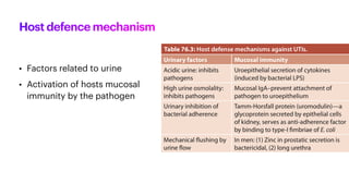 Pathogenesis uti (urinary tract infection) .pdf