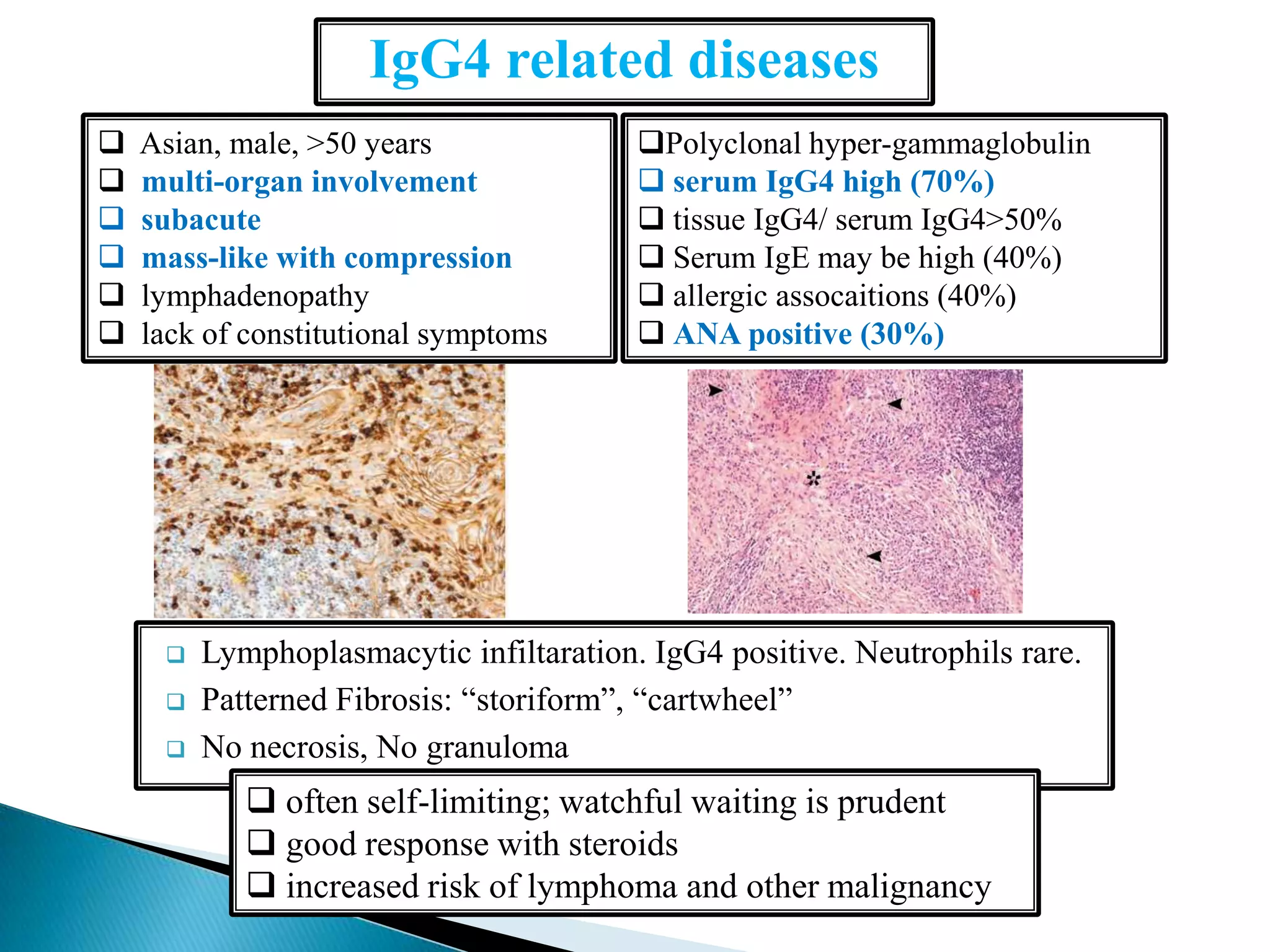 Pathogenetic issues of IgG4 related diseases | PPTX