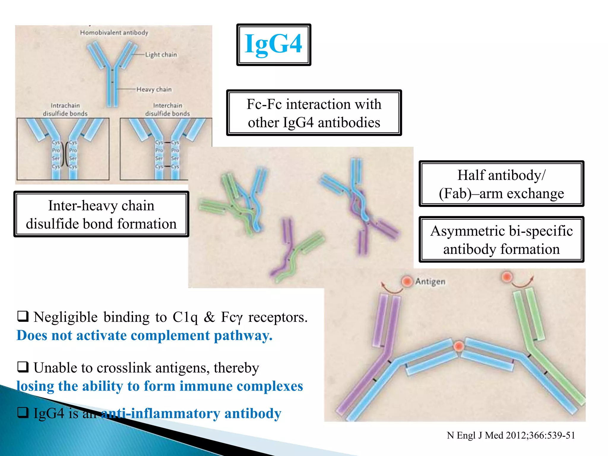 Pathogenetic issues of IgG4 related diseases | PPTX