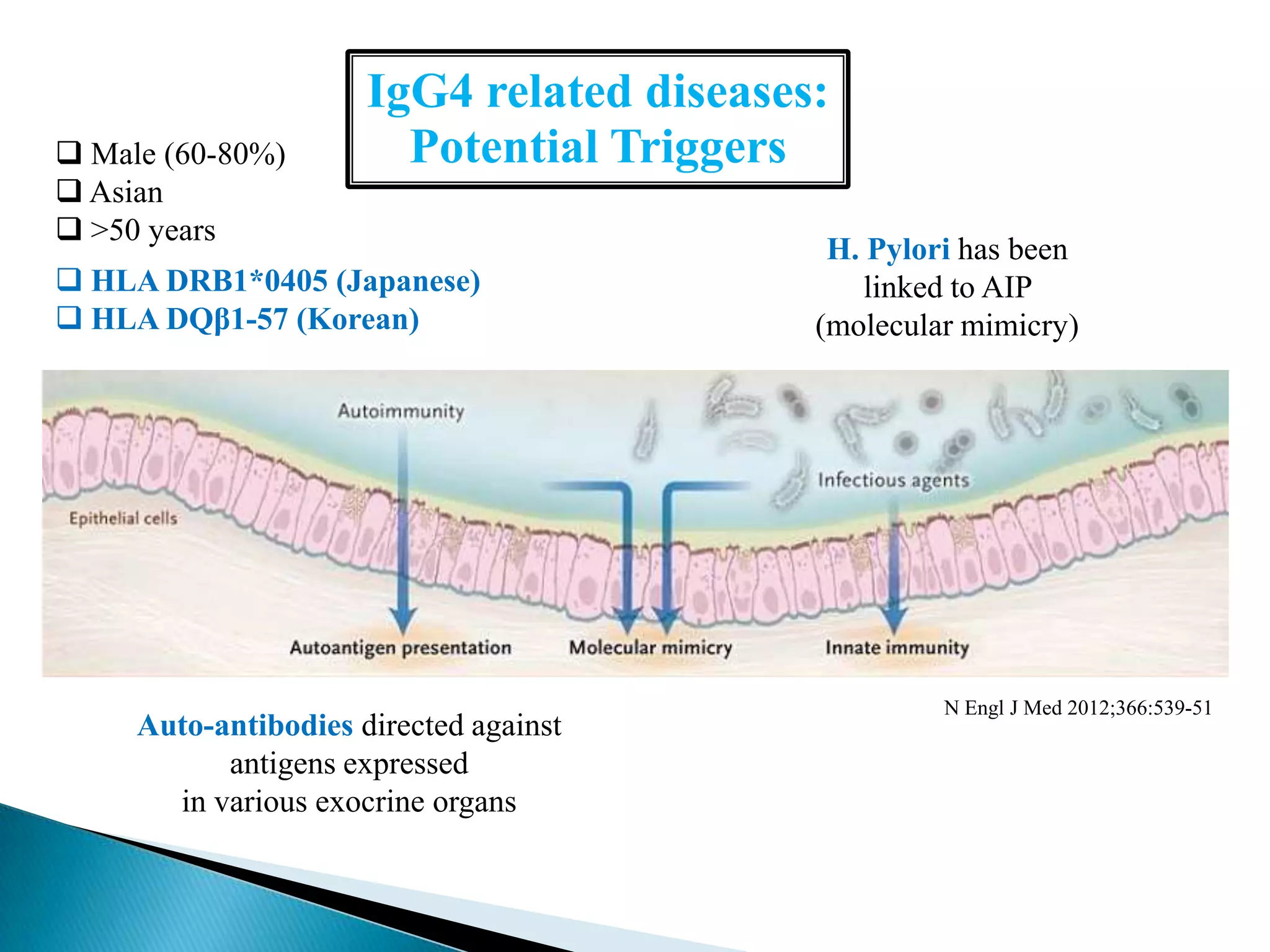 Pathogenetic issues of IgG4 related diseases | PPTX