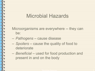 Pathogenic bacteria associated with different categories of food | PDF
