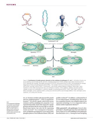 sinh bệnh học escherichia coli | PDF