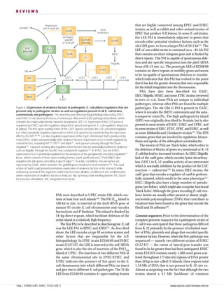 sinh bệnh học escherichia coli | PDF