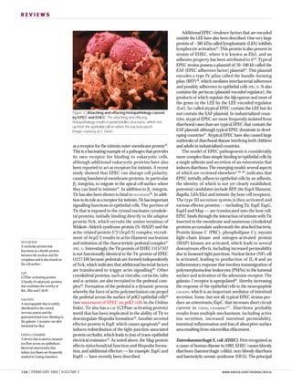 sinh bệnh học escherichia coli | PDF