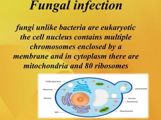 pathogenicfungi. | PDF