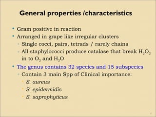Pathogenic Gram positive cocci bacteriolyg.ppt