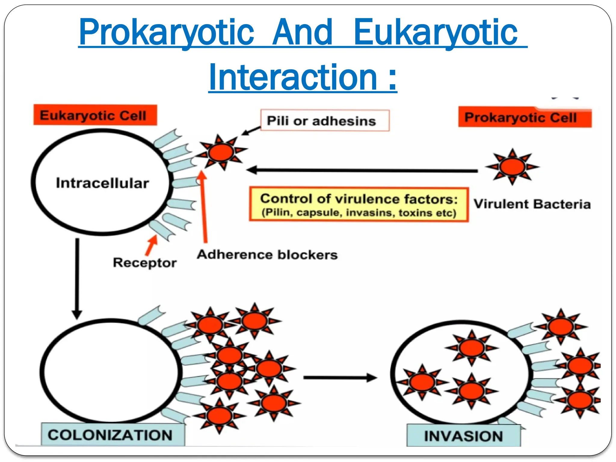 Pathogenicity is the ability of a microorganism to cause disease, while ...