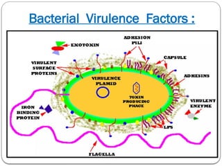 Pathogenicity is the ability of a microorganism to cause disease, while ...