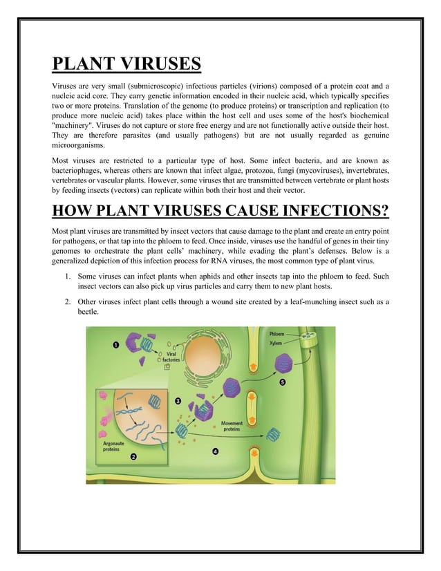 Pathogenicity control of plant viruses | PDF