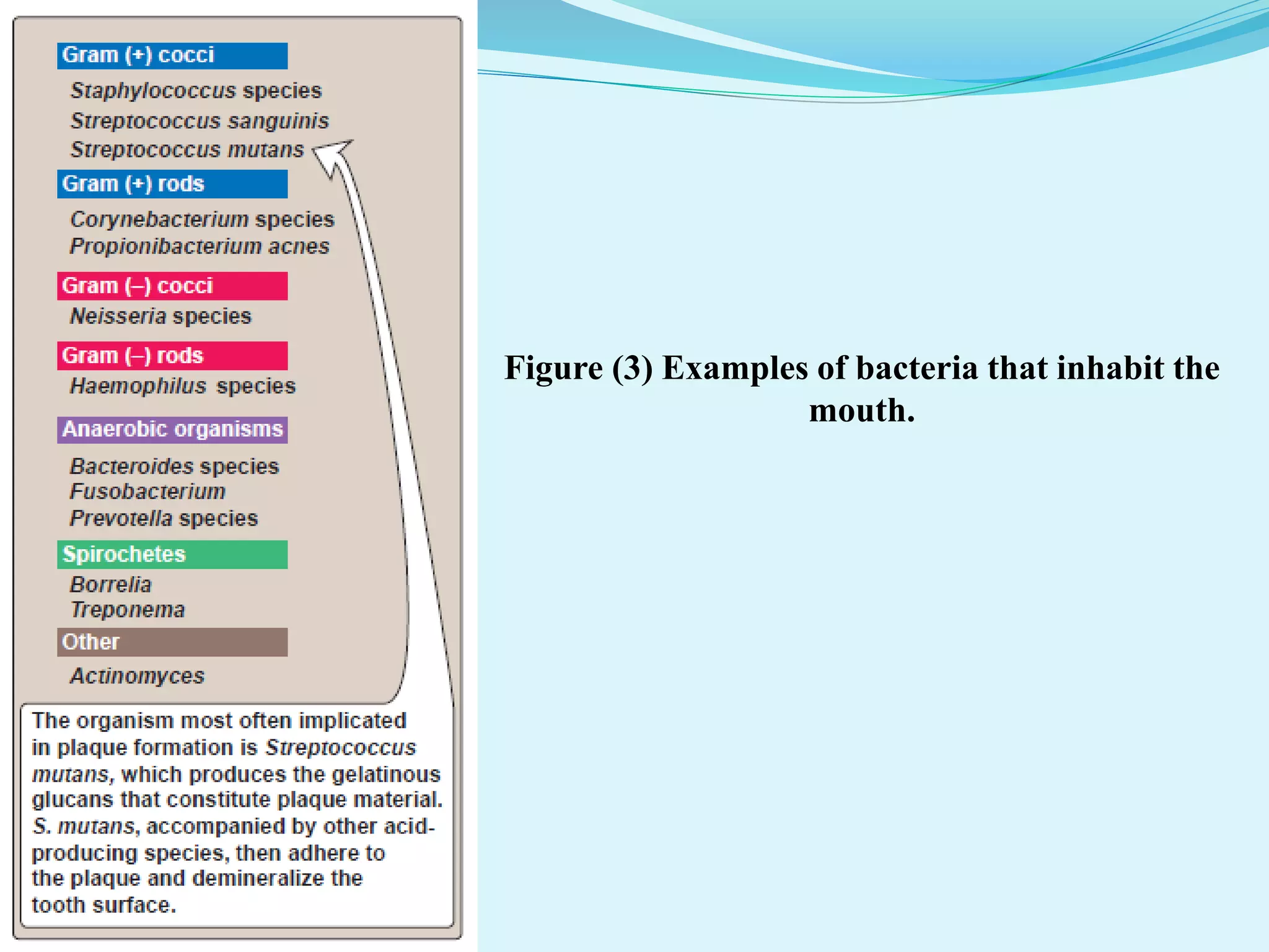 Pathogenicity of bacteria | PPTX