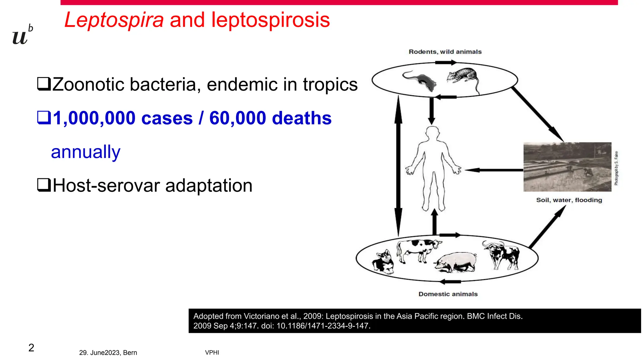 Reservoirs of pathogenic Leptospira species in Uganda | PPT