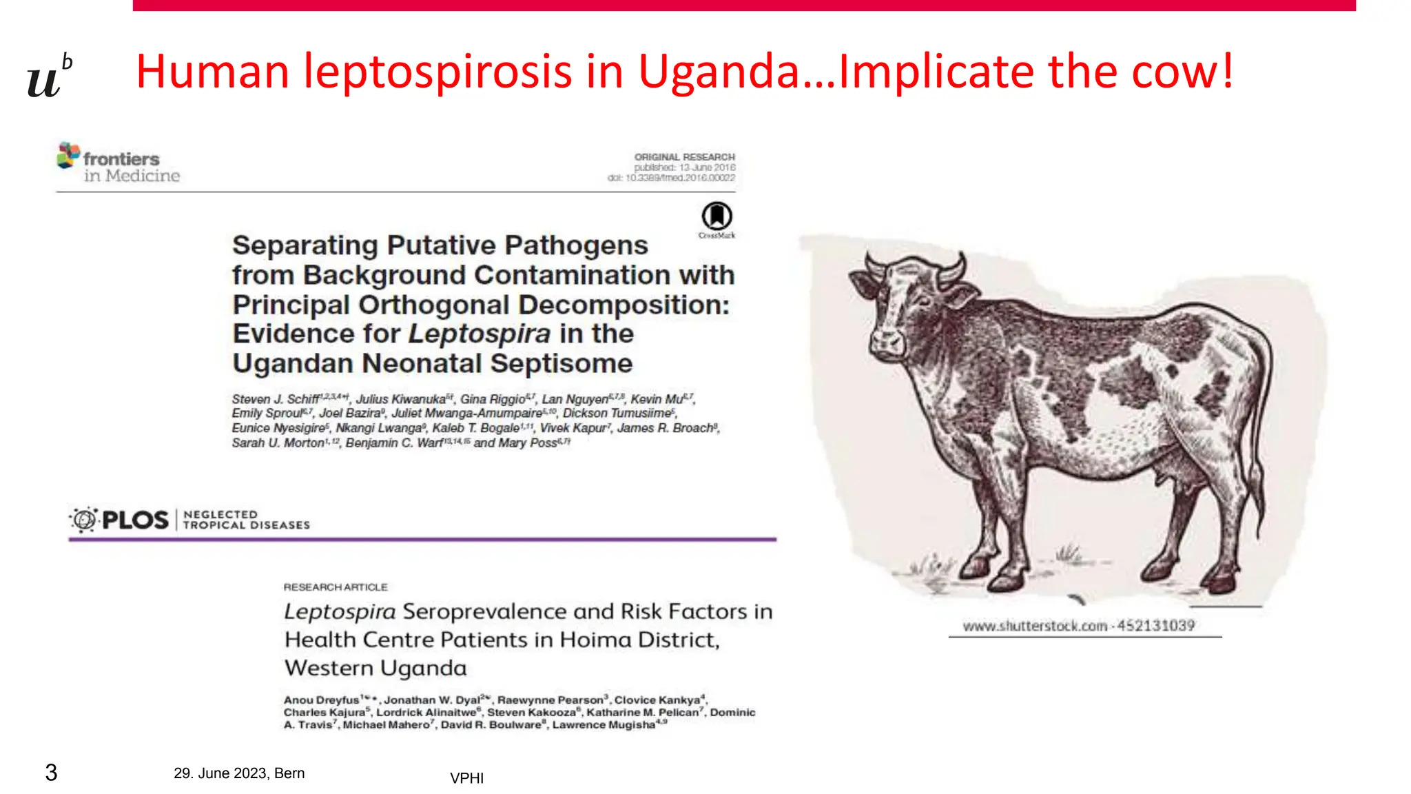 Reservoirs of pathogenic Leptospira species in Uganda | PPT