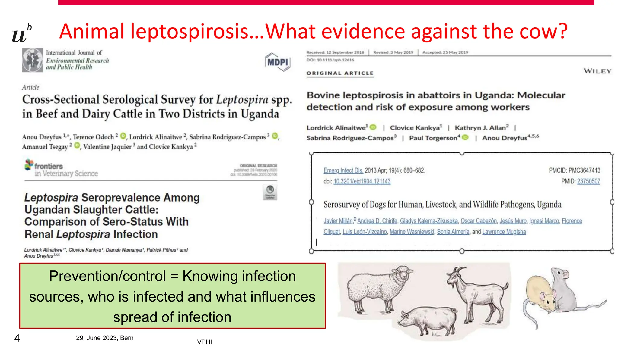 Reservoirs of pathogenic Leptospira species in Uganda | PPT