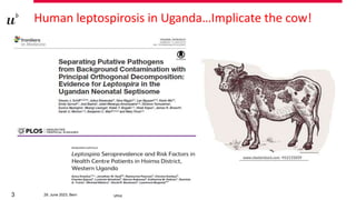 Reservoirs of pathogenic Leptospira species in Uganda | PPT