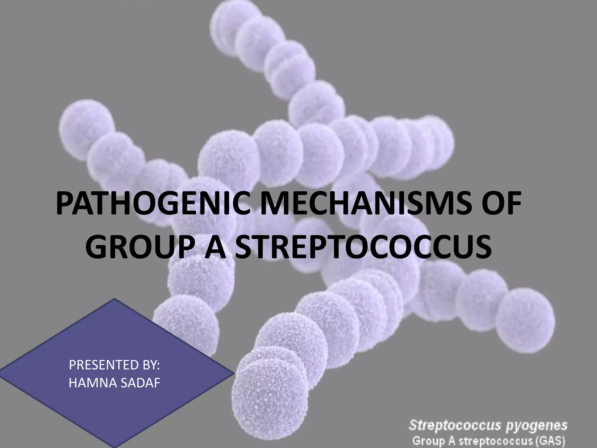 Pathogenic mechanishm of group a streptococcus | PPTX