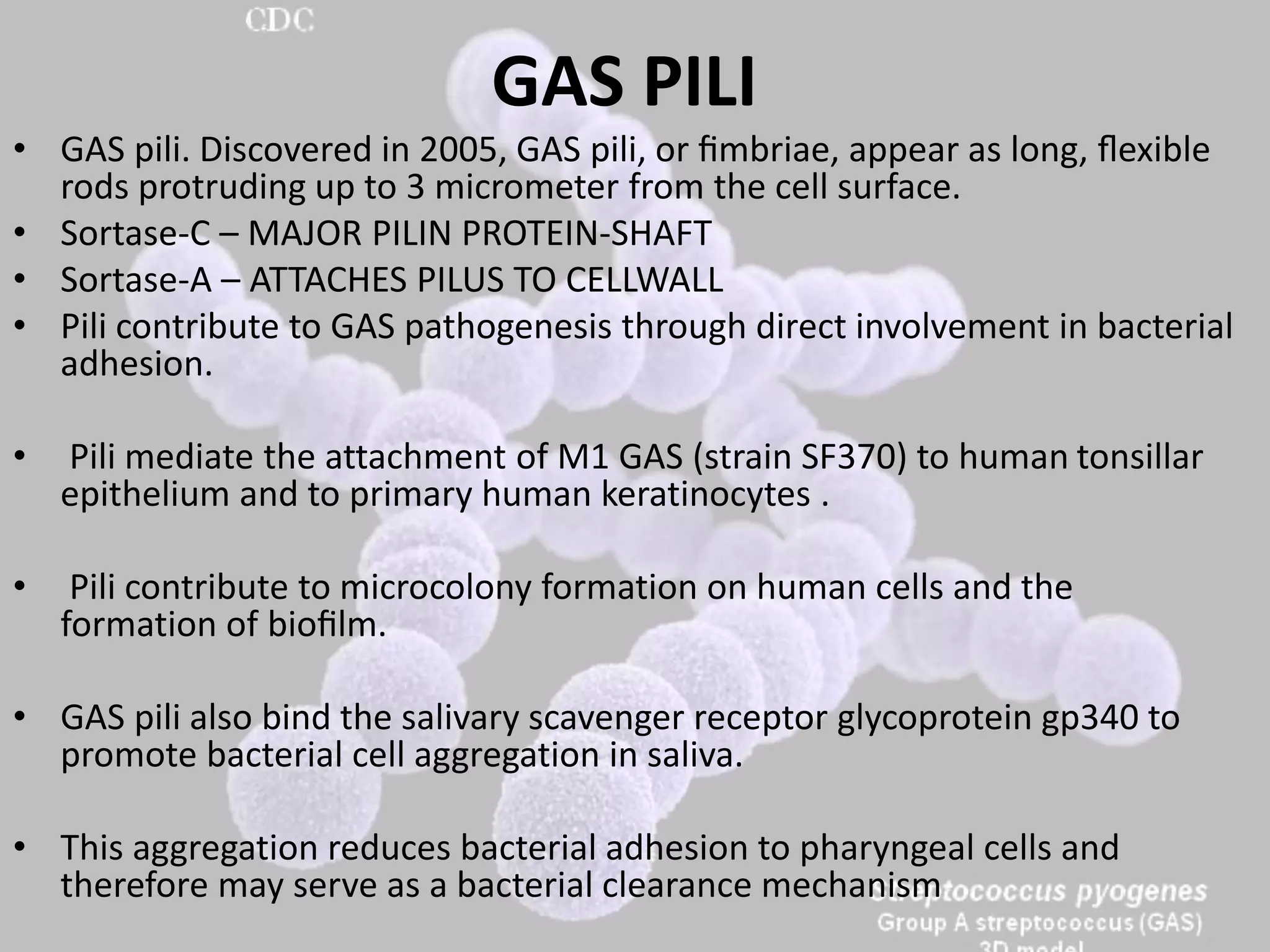 Pathogenic mechanishm of group a streptococcus | PPTX