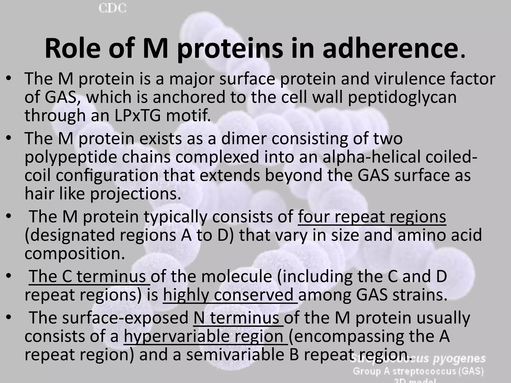 Pathogenic mechanishm of group a streptococcus | PPTX