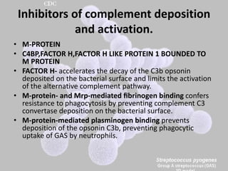 Pathogenic mechanishm of group a streptococcus | PPTX