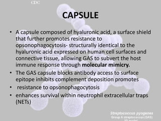 Pathogenic mechanishm of group a streptococcus | PPTX