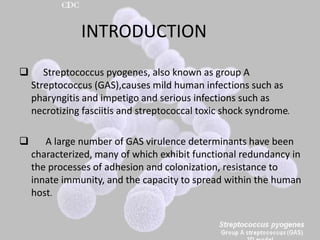 Pathogenic mechanishm of group a streptococcus | PPTX
